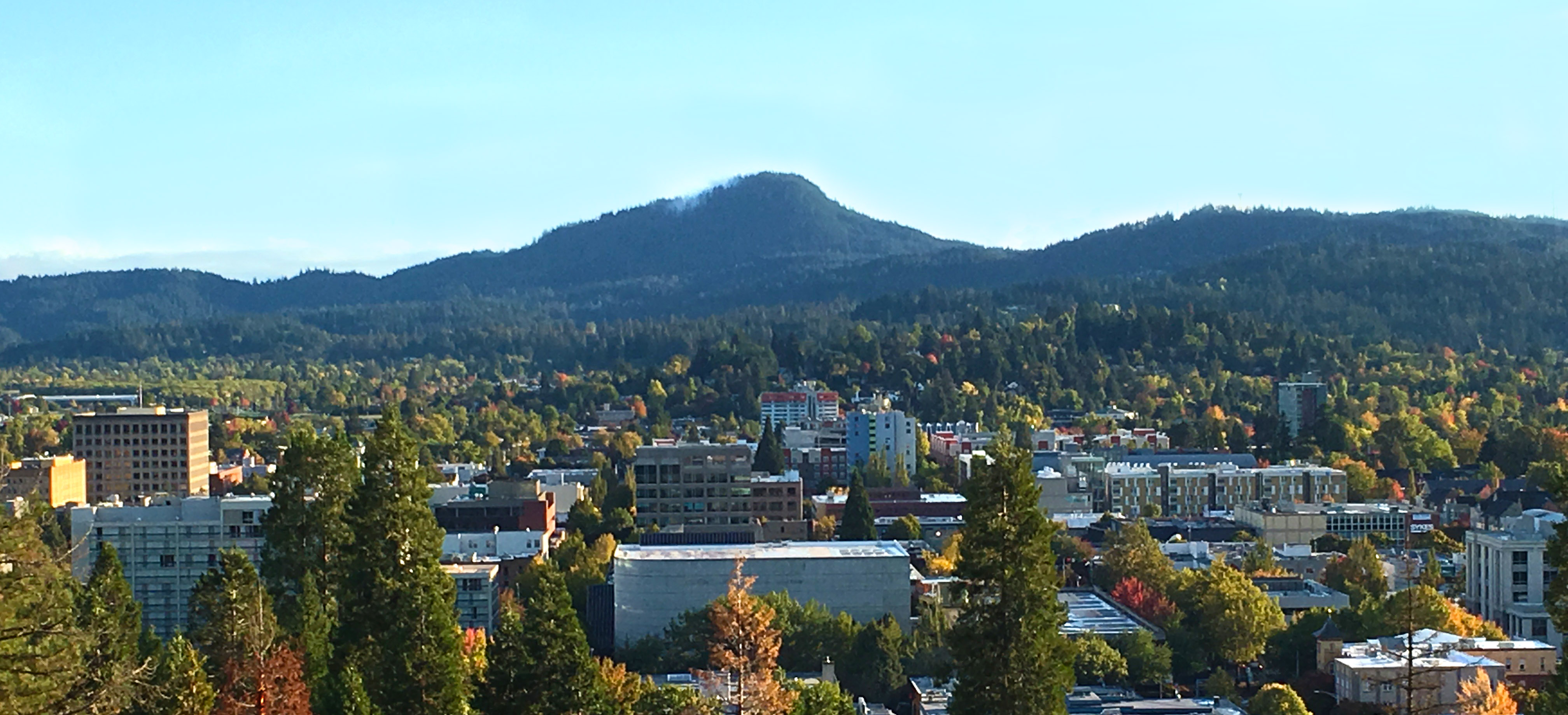Eugene Oregon Living - Judy Casad